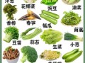 春季时令蔬菜有哪些_夏季时令蔬菜有哪些