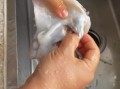 新鲜墨鱼怎么清洗_新鲜墨鱼的做法大全