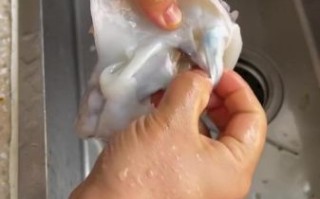 新鲜墨鱼怎么清洗_新鲜墨鱼的做法大全