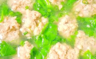 猪肉丸子汤怎么做好吃_猪肉丸子汤的家常做法
