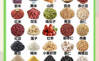 五谷杂粮是哪五种_五谷杂粮具体指哪些粮食