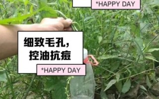 丝瓜水能治皮肤病吗_丝瓜治疗湿疹偏方