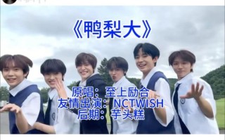 鸭梨大歌词表达了什么_鸭梨大这首歌背后的故事