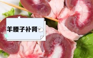 羊腰子补肾偏方怎么做_羊腰子补肾效果好吗