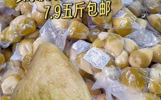 咸菜疙瘩怎么腌制_咸菜疙瘩腌制多久能吃