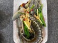 中华鲟怎么做好吃_中华鲟家常做法大全