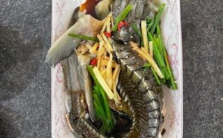 中华鲟怎么做好吃_中华鲟家常做法大全