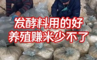 豆渣发酵做饲料的方法_豆渣发酵饲料怎么保存