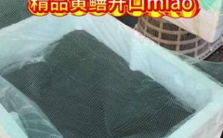 养殖一亩黄鳝多少利润_黄鳝养殖成本利润分析