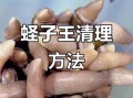 冷冻蛏子怎么清洗_冷冻蛏子清洗技巧