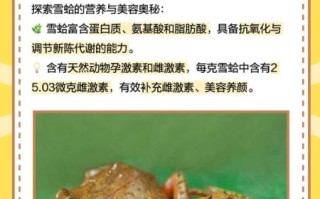 雪蛤哪里买比较正宗_正宗雪蛤购买渠道