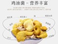 黄丝菌怎么做好吃_黄丝菌的家常做法