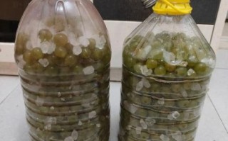 自酿葡萄酒怎样沉淀过滤_过滤后酒体更清澈