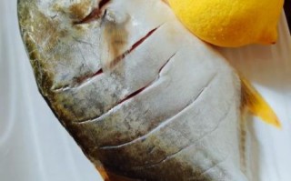 金昌鱼图片大全_金昌鱼怎么做好吃