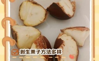 剥板栗的小妙招_怎样快速剥生板栗皮 剥板栗的小妙招_怎样快速剥生板栗皮