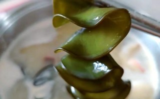 海木耳怎么泡发_海木耳凉拌做法