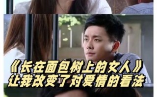 面包树上的女人电视剧_剧情讲了什么