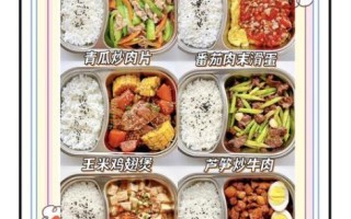 小学生午餐吃什么好_如何科学搭配小学生午餐
