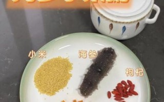 海参小米粥的功效与作用_适合什么人吃