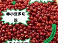 赤豆和红豆的区别_哪个祛湿更好