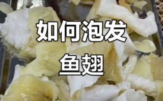 冰冻鱼翅怎么泡发_冰冻鱼翅的家常做法