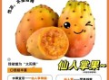 仙人掌果怎么吃_仙人掌果的正确吃法