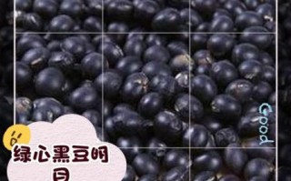 小黑豆和大黑豆的区别_哪个营养价值更高