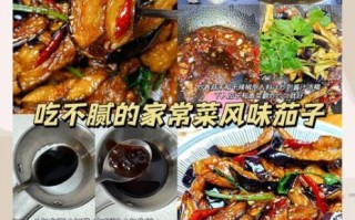 风味茄子怎么做_风味茄子家常做法