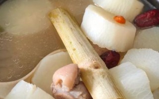 白萝卜炖羊肉怎么做_白萝卜炖羊肉的正宗做法