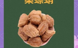 桑螵蛸是什么东西_桑螵蛸的功效与作用