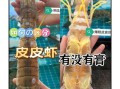 盒装冷冻皮皮虾骗局揭秘_如何辨别真假