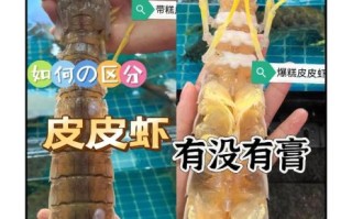 盒装冷冻皮皮虾骗局揭秘_如何辨别真假