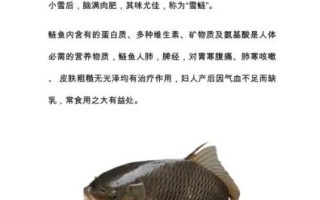 白鲢鱼的营养价值_白鲢鱼的功效与作用