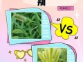 狗尾巴草学名是什么_狗尾巴草和狼尾草区别