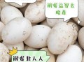 女人每天早上吃鹅蛋好吗_鹅蛋的营养价值与禁忌