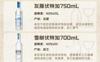 40度伏特加可以直接喝吗_伏特加纯饮技巧
