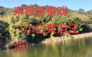 豫剧小白菜泪汪汪全集剧情_小白菜泪汪汪唱段赏析