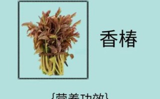 香椿芽不能和什么一起吃_香椿芽相克食物有哪些