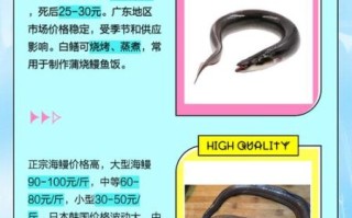 淡水白鳝鱼图片_如何分辨真假