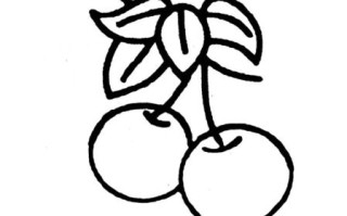 樱桃简笔画怎么画_樱桃图片简笔画教程