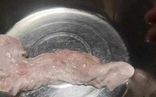 猪胰长什么样_猪胰图片真假辨别