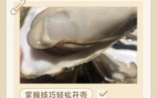 生蚝怎么开壳_生蚝开壳技巧视频教程