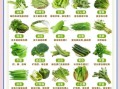 青菜名字大全_常见青菜种类有哪些