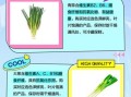青蒜和大葱的区别_哪个更营养