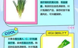 青蒜和大葱的区别_哪个更营养