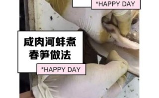 河蚌怎么杀图解_河蚌处理步骤