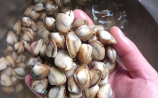 海瓜子怎么快速吐沙_海瓜子吐沙最快的方法