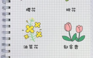 花图片大全简笔画_如何快速画