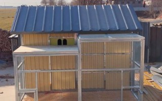 鸽子养殖大棚多少钱_建一个鸽子棚成本