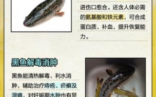 黑鱼的营养价值及功效_黑鱼怎么吃最补